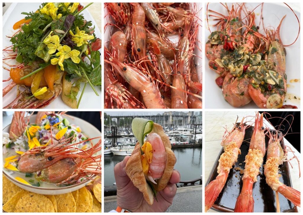 Spot Prawn Festival 2023 – Chefs' Table Society of British Columbia